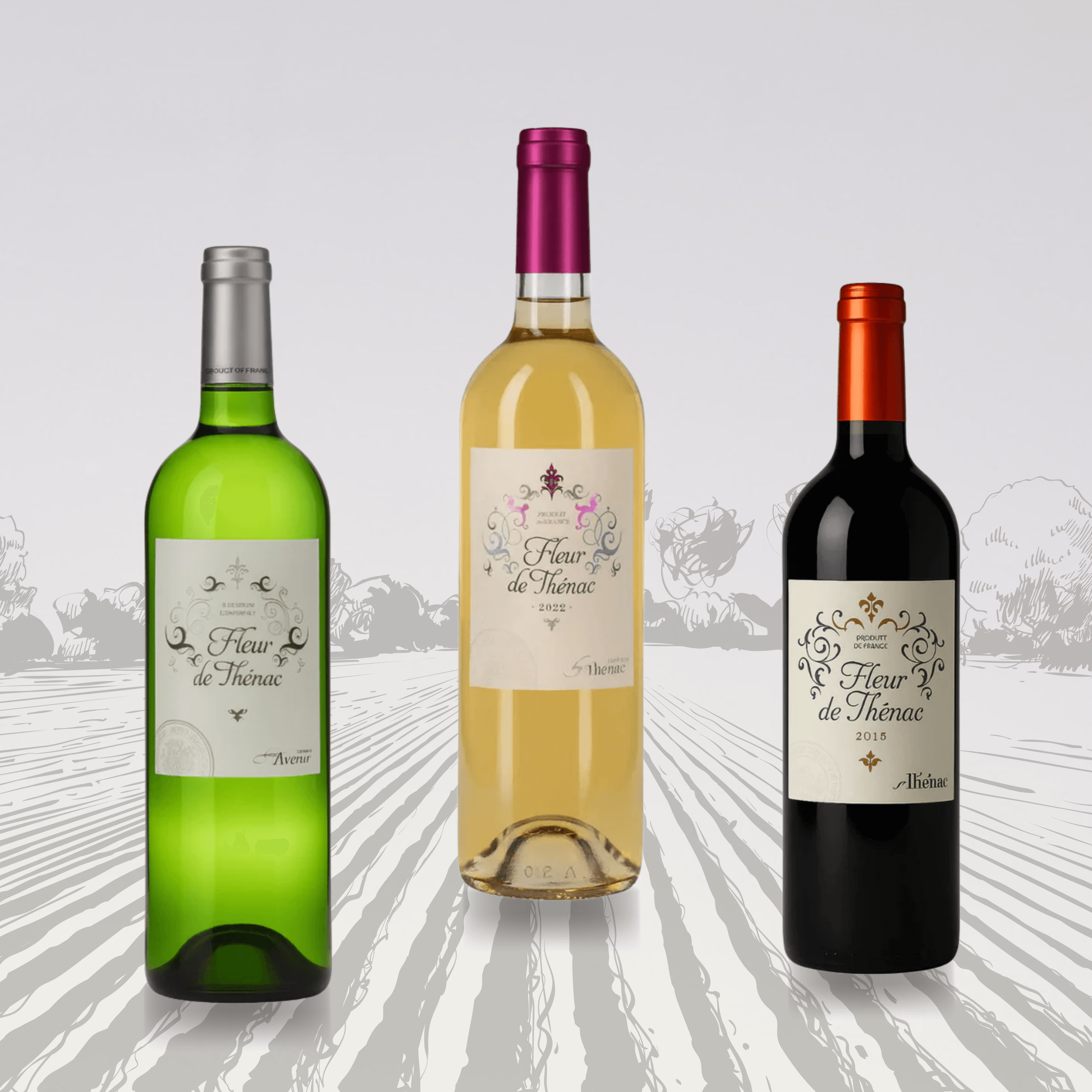 Fleur de Thénac French Wine Collection X3 – Alcozon